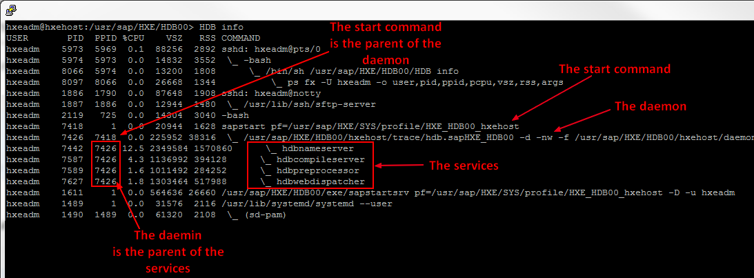 Sap Hana - Startup | Hana | Datacadamia - Data and Co